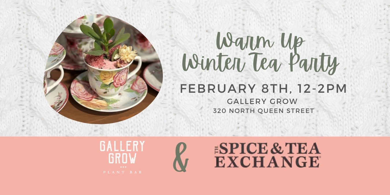 Fiesta del té invernal con The Spice & Tea Exchange - Visita la ciudad ...